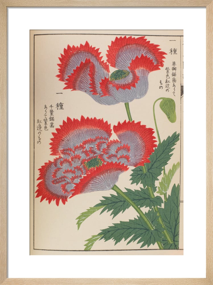 RHS Asian Art Prints - Posters UK - Framed Art Prints