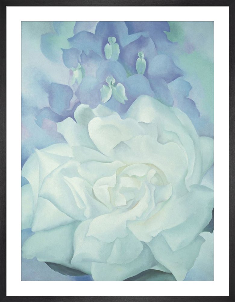 White Rose with Larkspur No.2 1927 - Georgia O'Keeffe Print