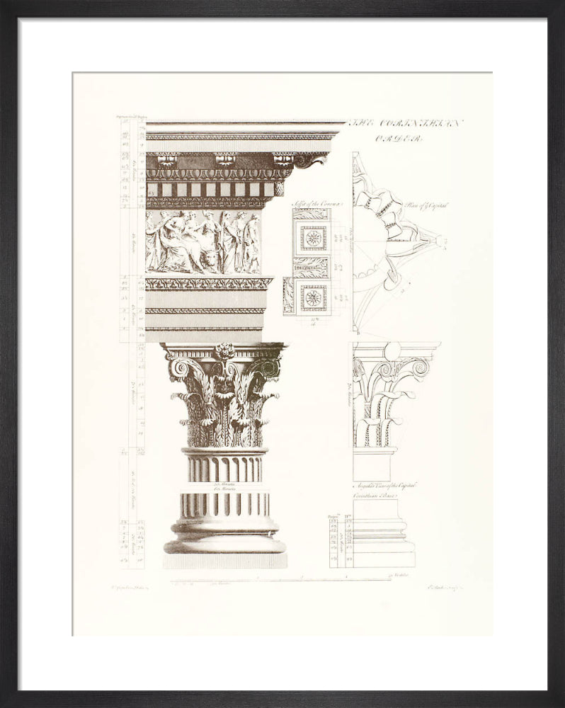 Orders of Architecture: The Corinthian Order - Sir William Chambers Print